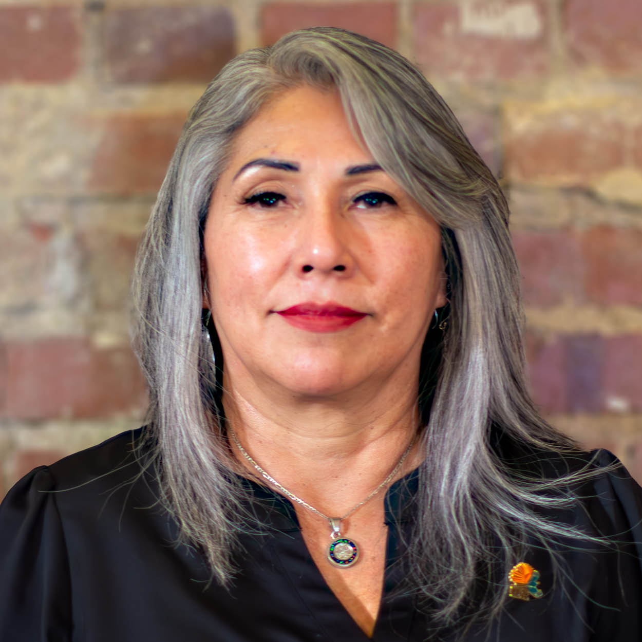 Boards and Commissions Fellowship - Conservation Colorado