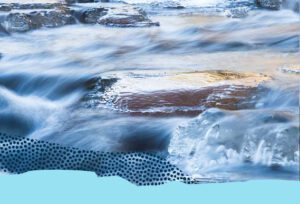 Home - Conservation Colorado